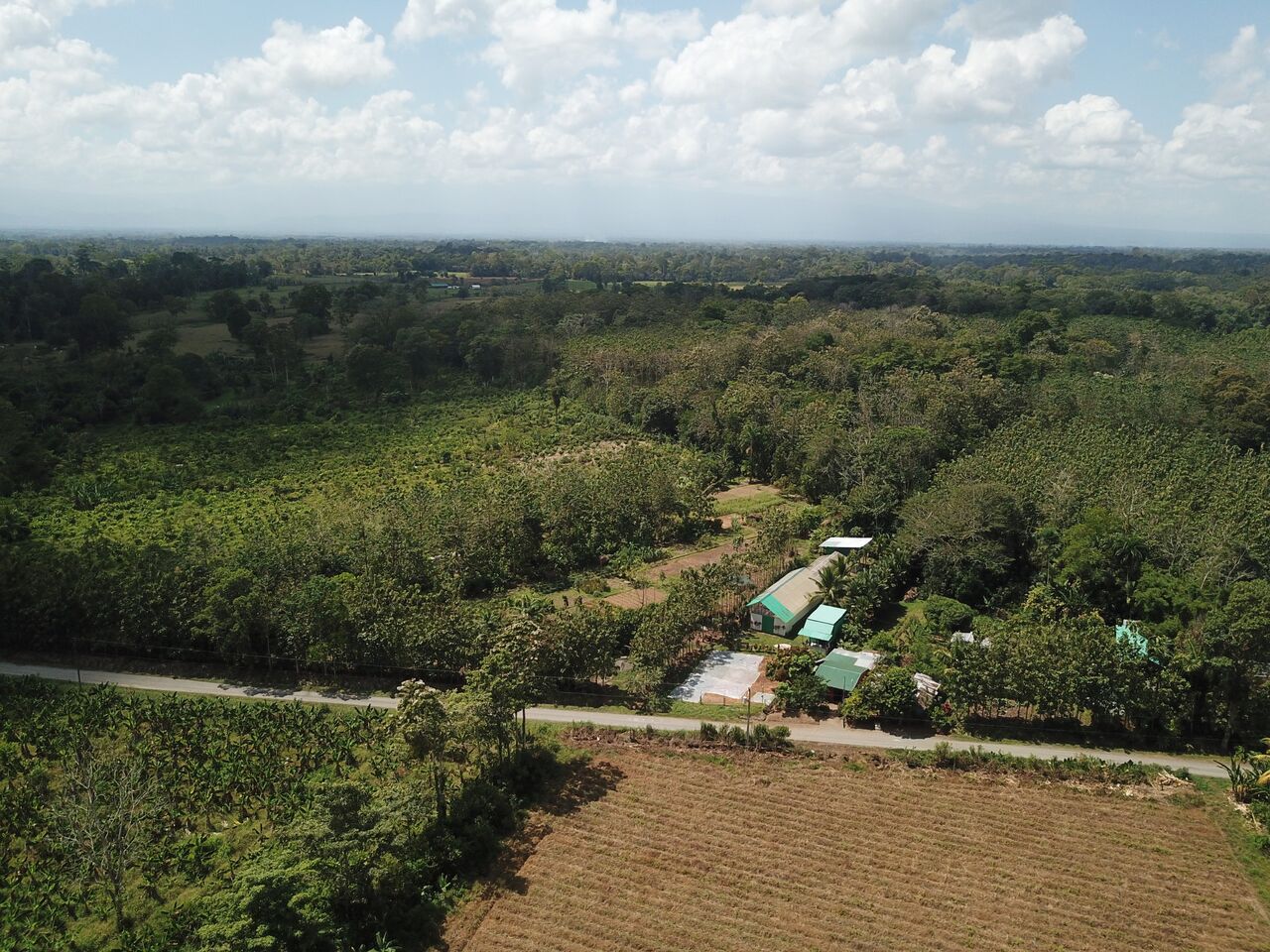 3 Reasons Why We Are All-in On Regenerative Farming (And Why You Shoul ...