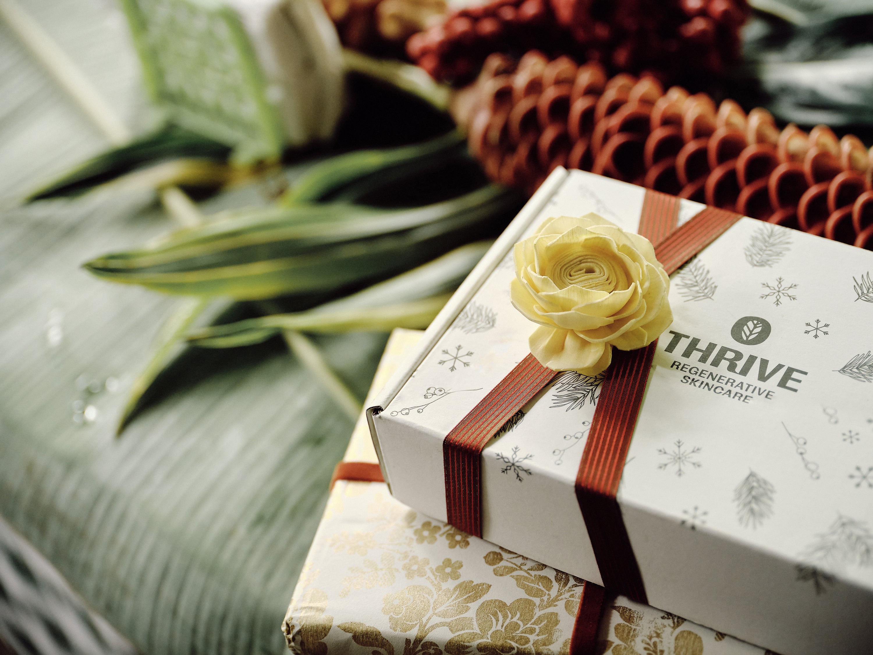 Thrive Regenerative Skincare | Powered By Regenerative Plants – Thrive ...