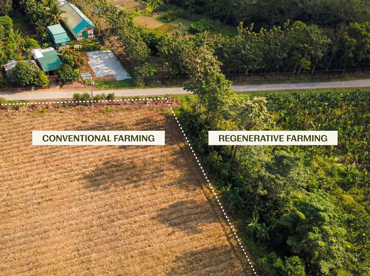 Regenerative Mission – Thrive Natural Care