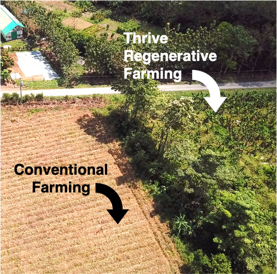 Regenerative Mission – Thrive Natural Care